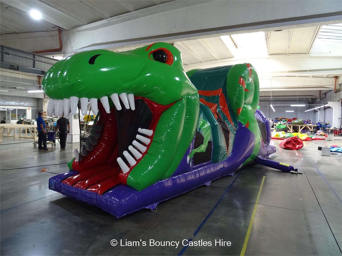 Indoor Double Dinosaur 3D Package - Bouncy Castle Hire in Telford